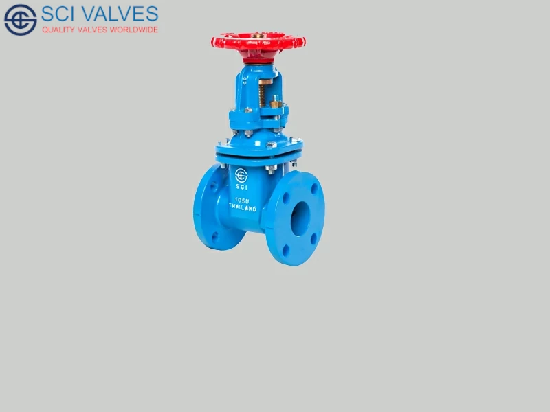 SCI Gate Valve