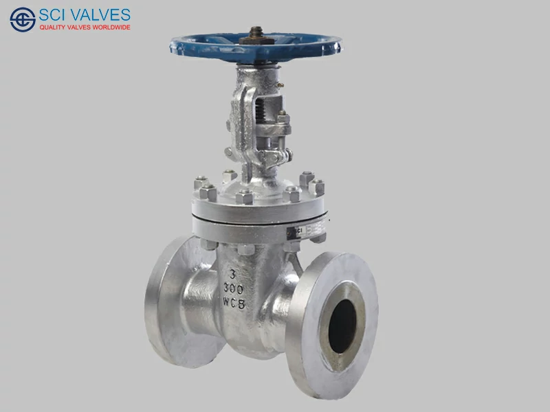 SCI Cast Steel Valve