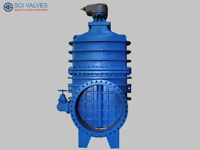 SCI Gate Valve